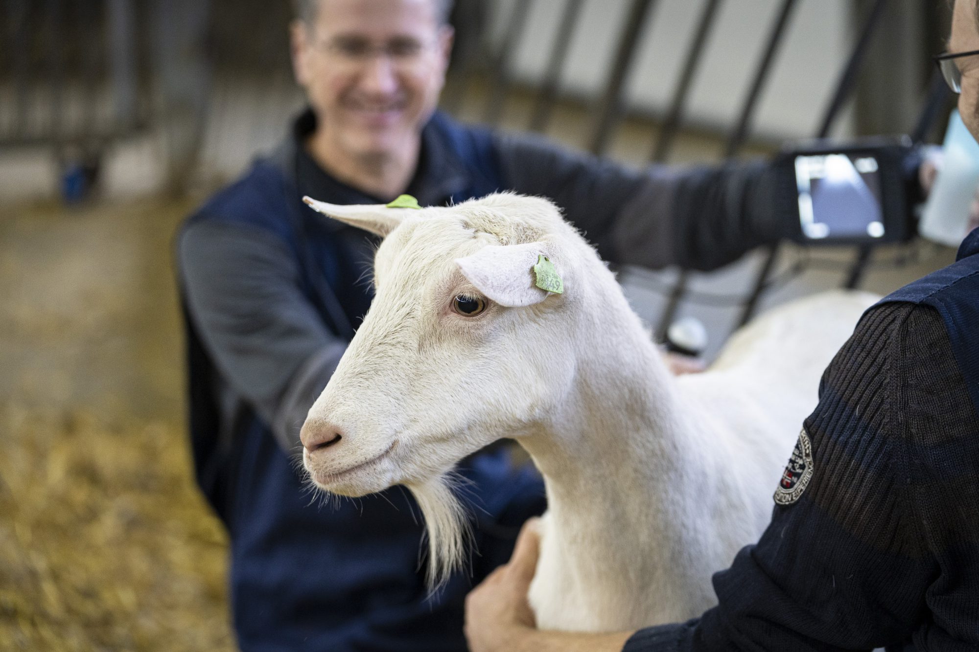 Echoscopie – Van Dijk Scanservice